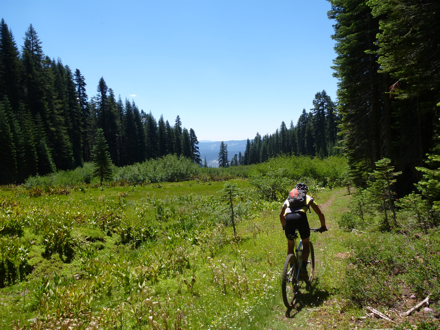 Grouse_Ridge_Trail-Sean – Meriwether Cycles