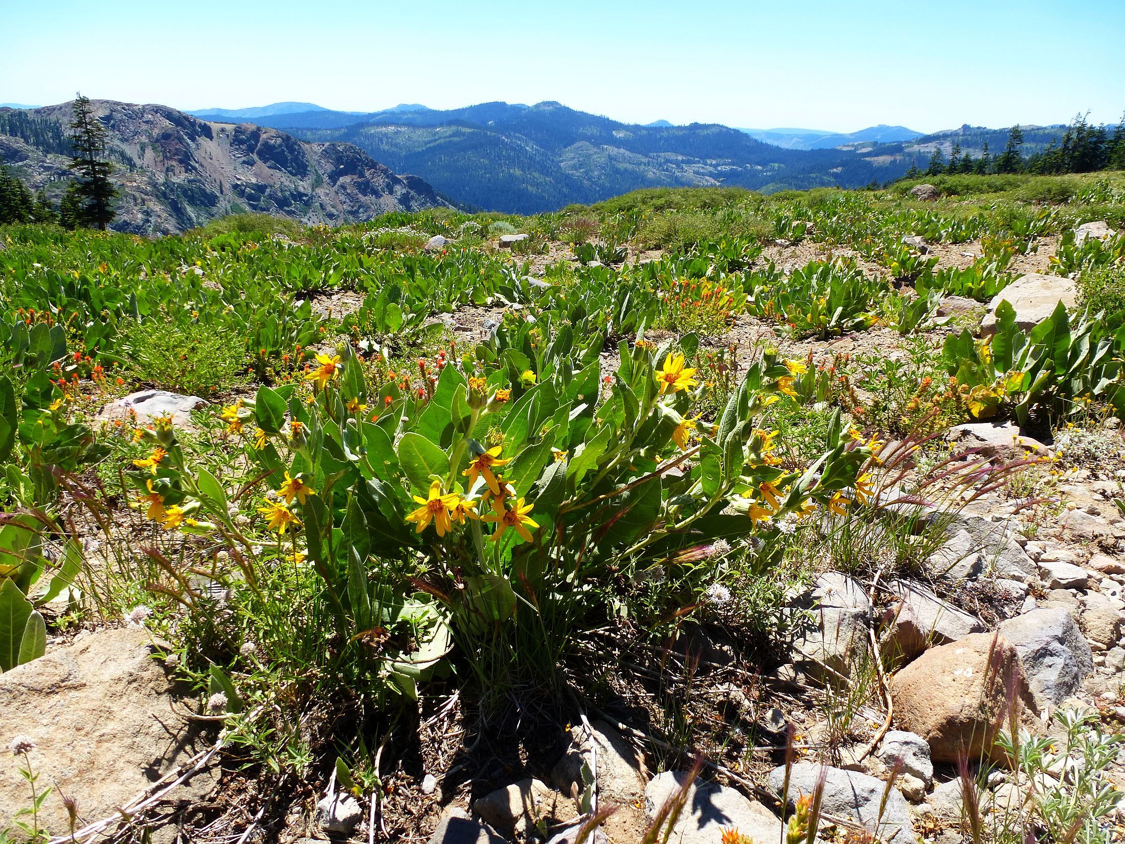 Lakes Basin Overnighter – Meriwether Cycles